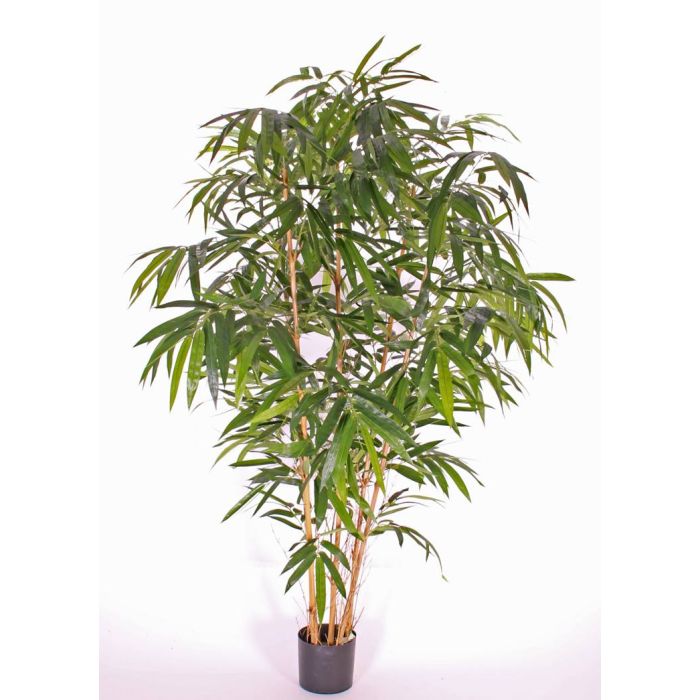 Artificial Bamboo NARUTO, real stems, green, 6ft/180cm - Fake trees