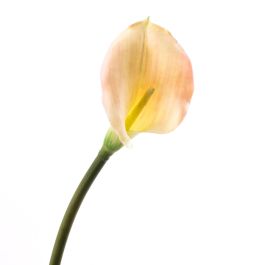 Silk calla RAMIRA, pink, 75cm, Ø8x14cm - Fake flowers