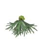 False deer fern plant SHUOYAN on spike, green, 24"/60cm