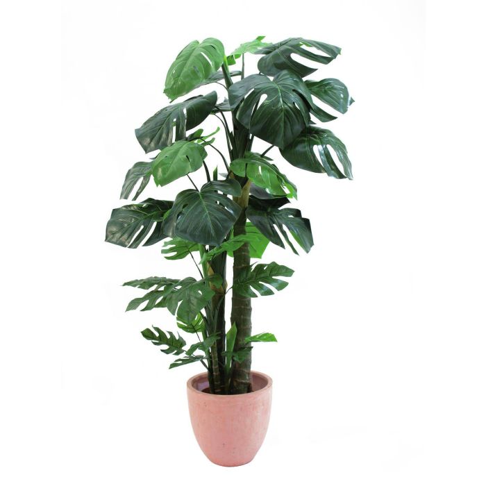 Artificial Philodendron Monstera Deliciosa SILVIO, green, 5ft/160cm ...