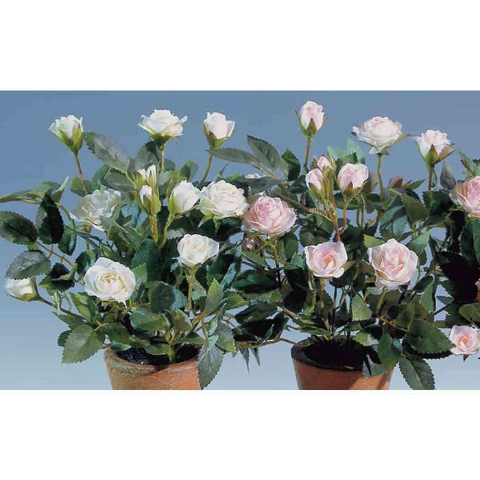 Fake rose bush NOVALINA in terracotta pot, cream-white, 10"/25cm