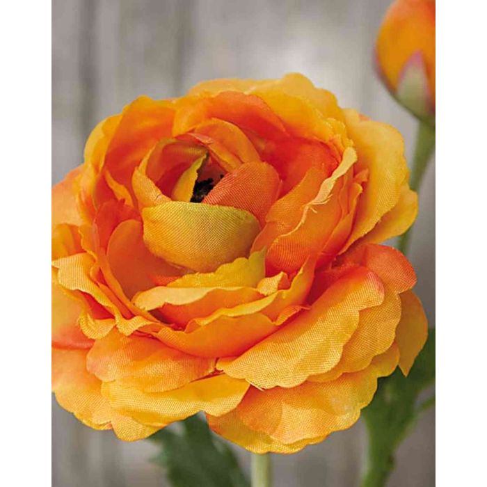 Silk ranunculus KATHERINE, orange, 18"/45cm