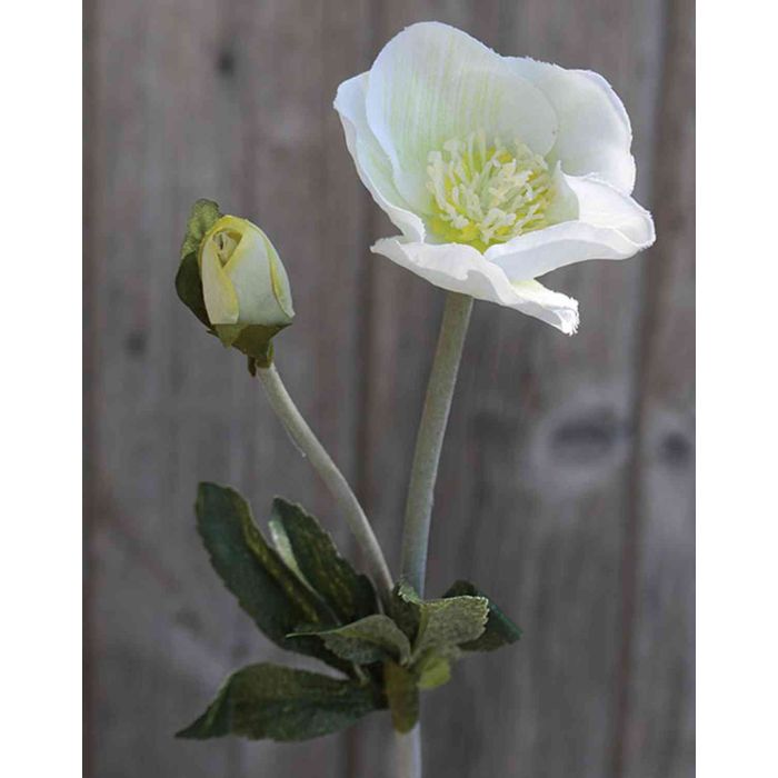 Artificial Christmas rose DANITA, white-green, 12"/30cm, Ø2.4"/6cm