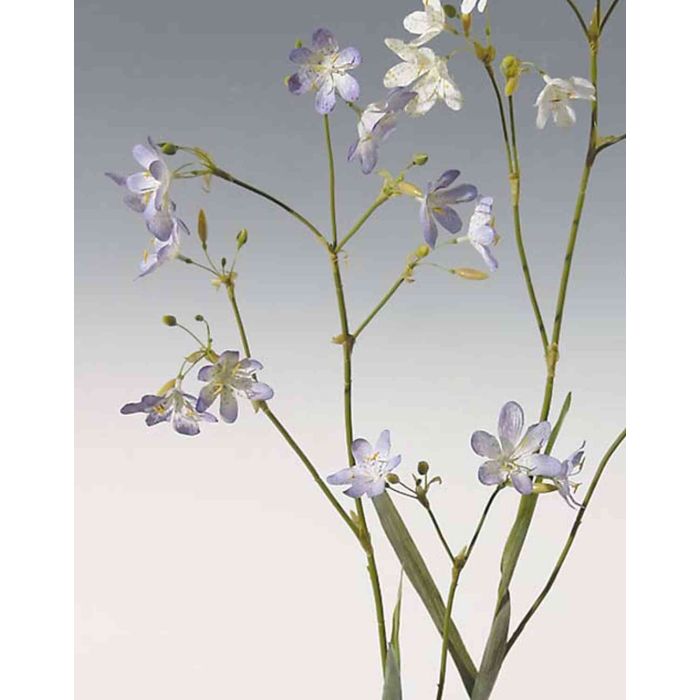 Artificial leopard flower DARCIE, blue-white, 33"/85cm