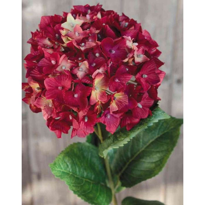 Fake hydrangea HERMINE, burgundy red, 26"/65cm