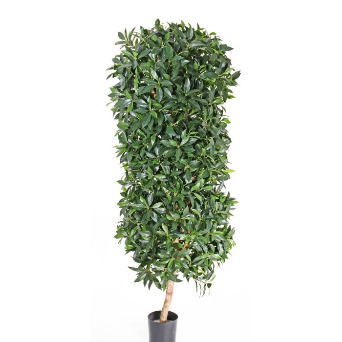 Artificial Laurel column tree PETROS, real stem, fruits, 5ft/140cm ...