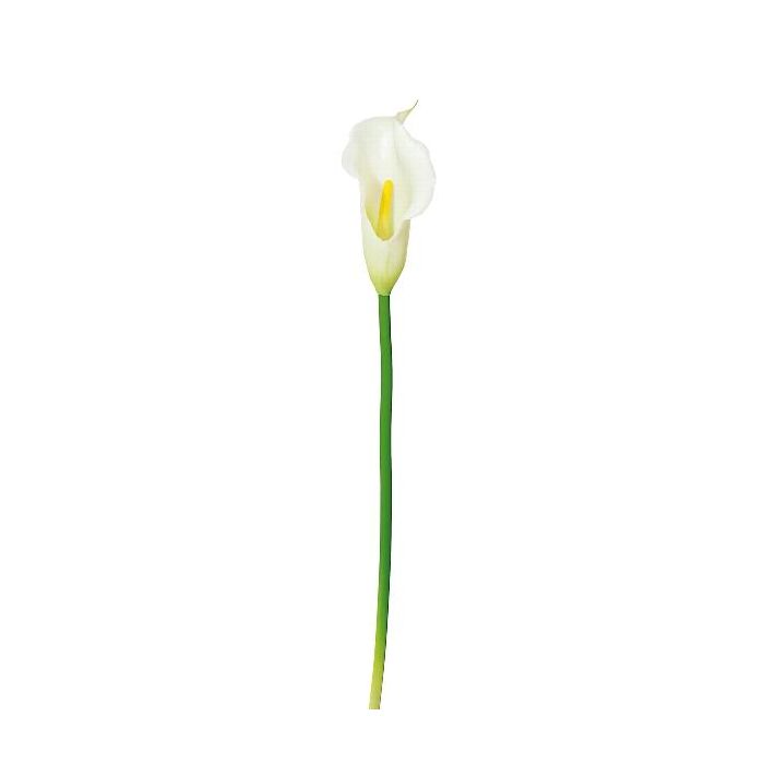 Plastic flower Calla PERKAN, white, 14"/35cm