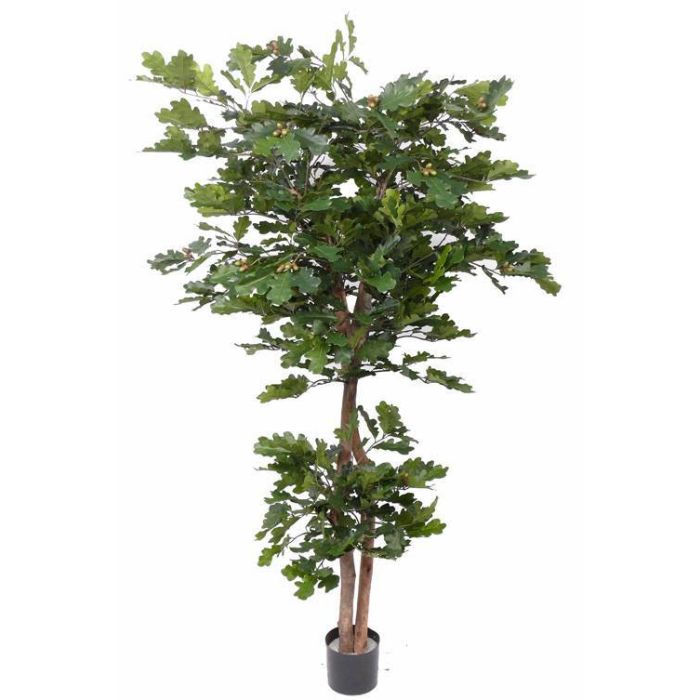 Artificial Oak tree AJDIN, real stems, with acorns, green, 6ft/180cm ...