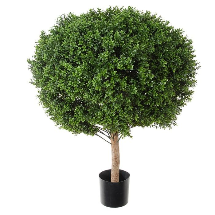 Artificial boxwood tree TOM, natural trunk, 125cm, Ø 3ft/100cm