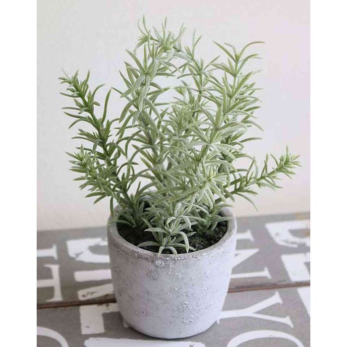 Artificial rosemary ALBUS in concrete pot, green, 9"/22cm