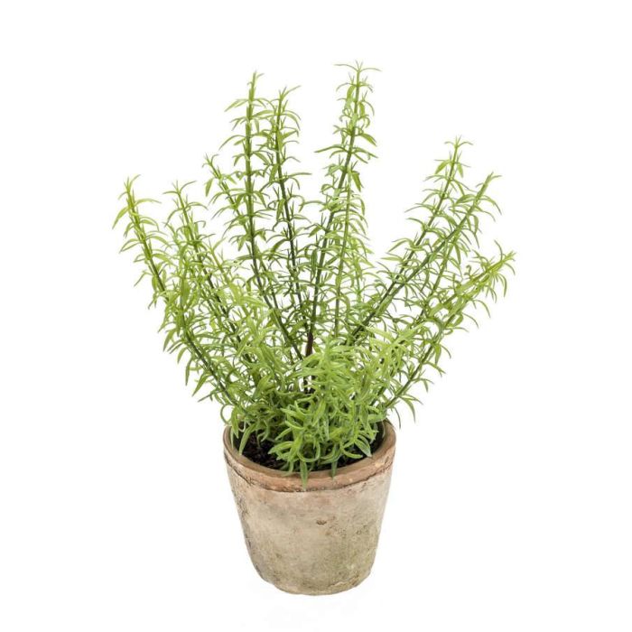 Fake rosemary LUCANO, in a terracotta pot, green, 33cm, Ø25cm - Fake herbs