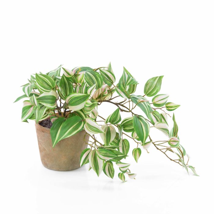 Artificial Tradescantia Zebrina PACO, terracotta pot, green-white, 20 ...