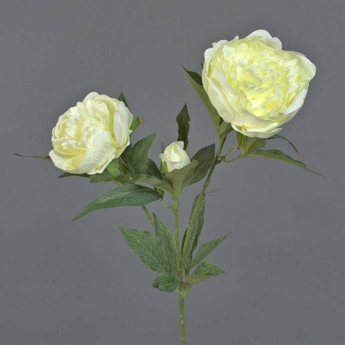 Artificial peony MISTI, cream, 28"/70cm
