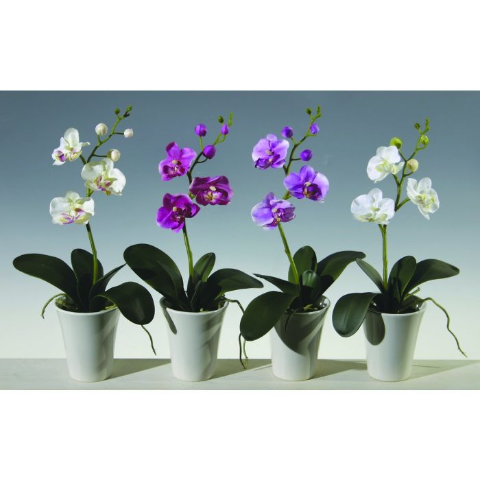 Fake flower Phalaenopsis orchid QUILA, ceramic pot, cream-white, 14"/35cm
