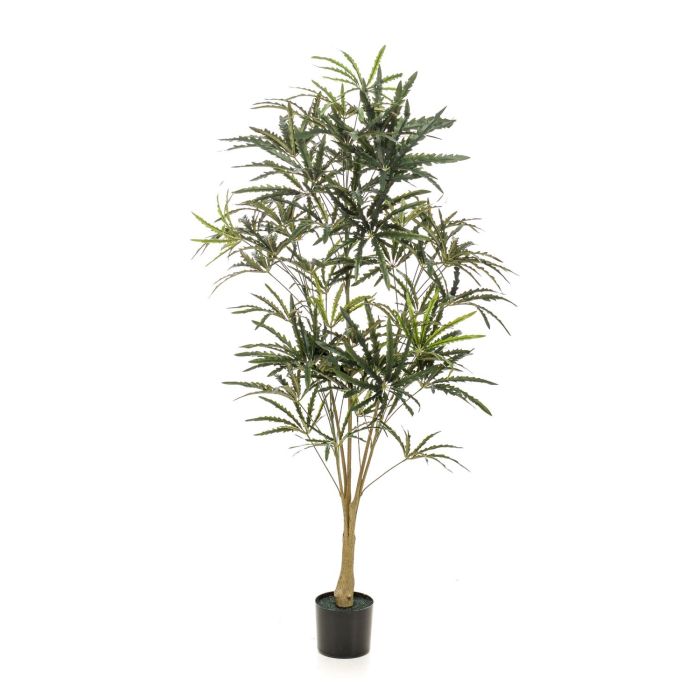 Artificial finger aralia KAZUKI, artificial trunk, green, 5ft/145cm